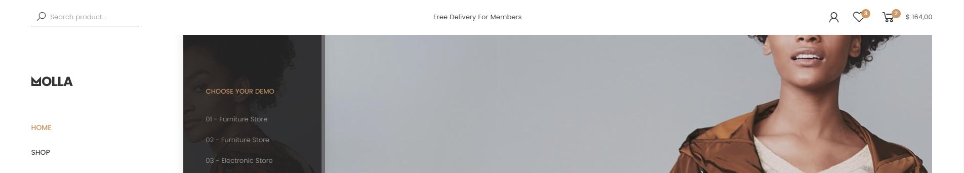 Header Presets – Molla WordPress Documentation