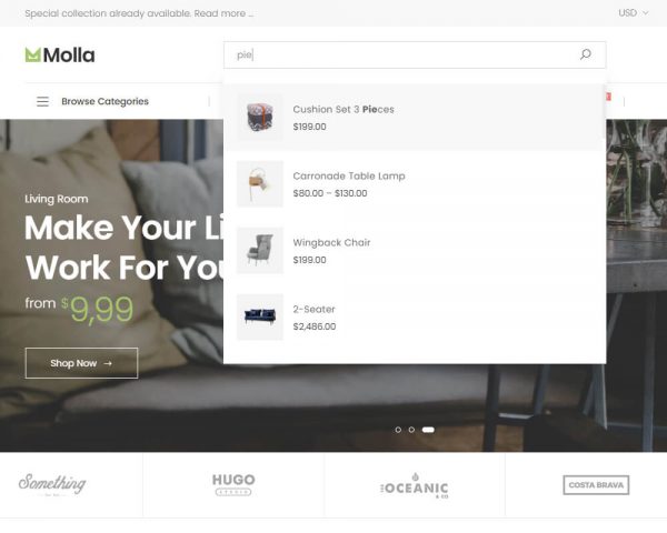 Live Search – Molla WordPress Documentation