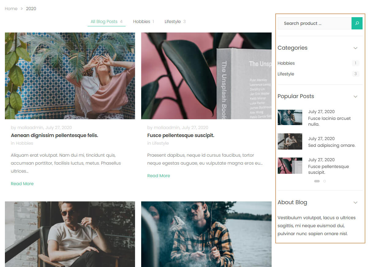 Widget Areas – Molla WordPress Documentation