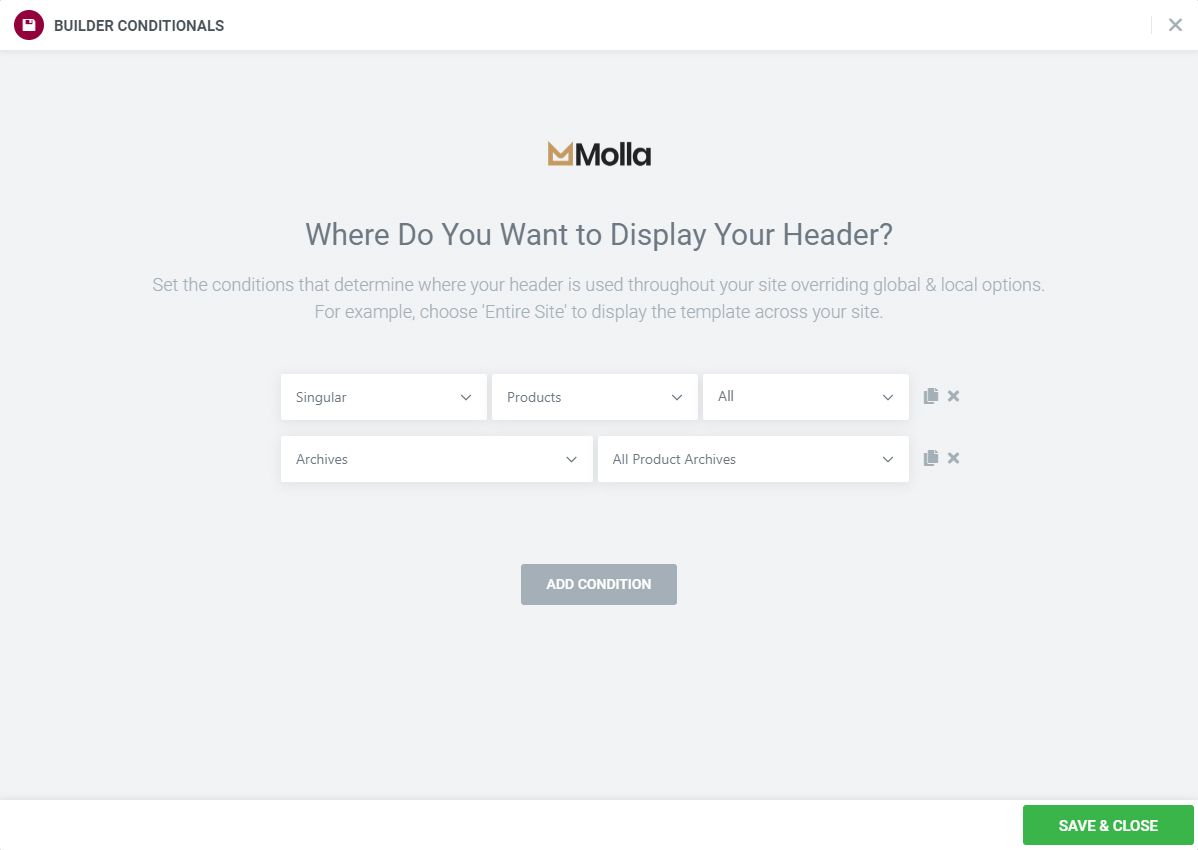 Display Conditions – Molla WordPress Documentation