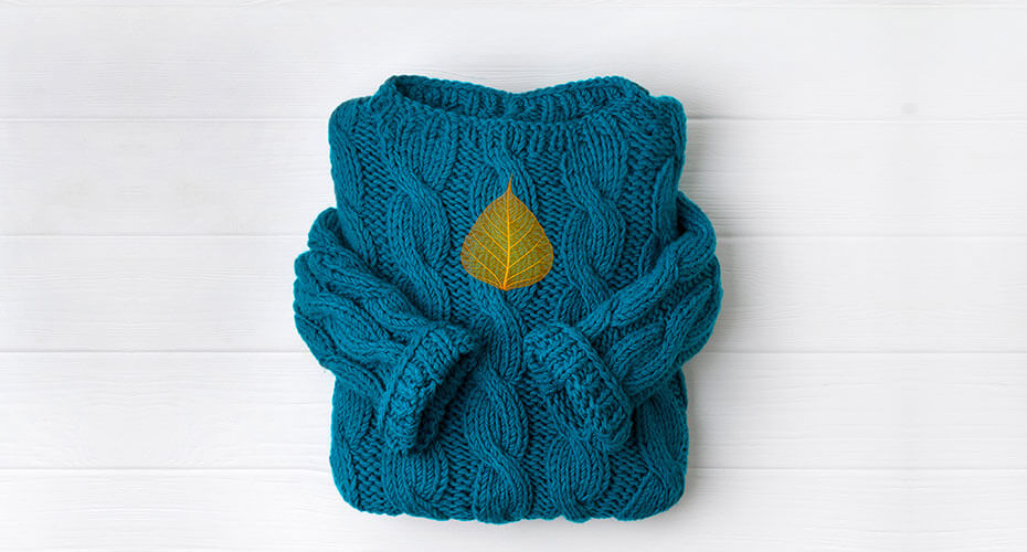 Cras ornare tristique elit - Demo 1